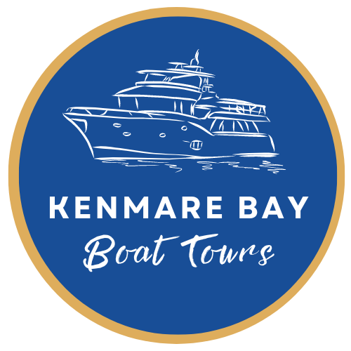 Home - Kenmare Bay Boat Tours